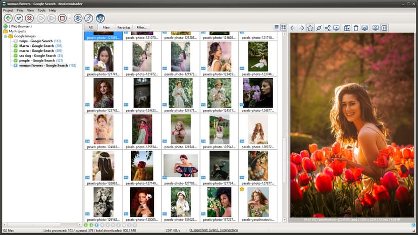 Free Bulk Image & Video Downloader for Any Website